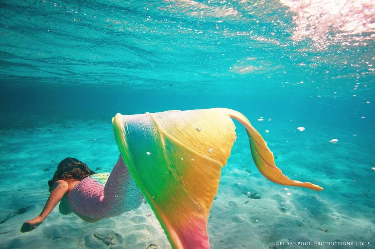 Pregnant Austin mermaid swims with sharks in the Great Barrier Reef of ...
