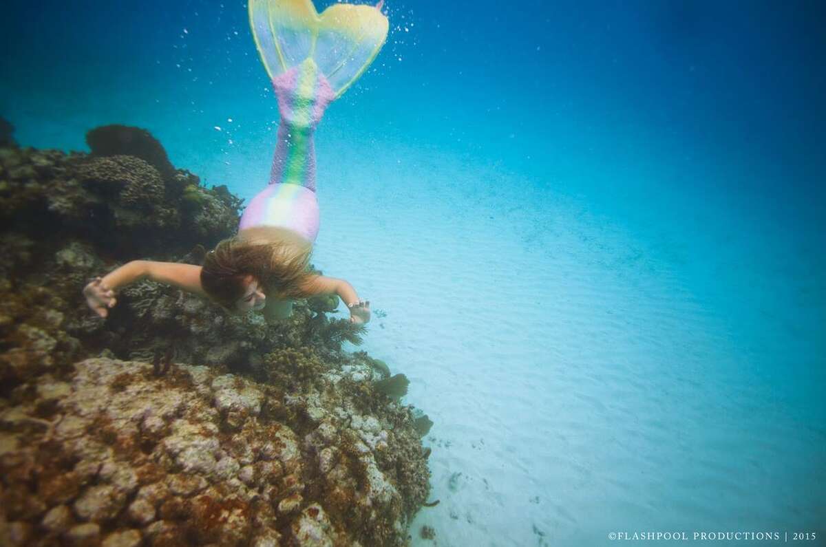 Pregnant Austin mermaid swims with sharks in the Great Barrier Reef of ...