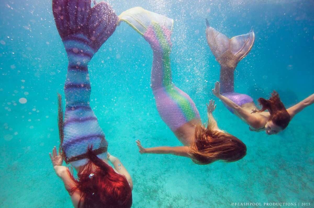 Pregnant Austin mermaid swims with sharks in the Great Barrier Reef of ...