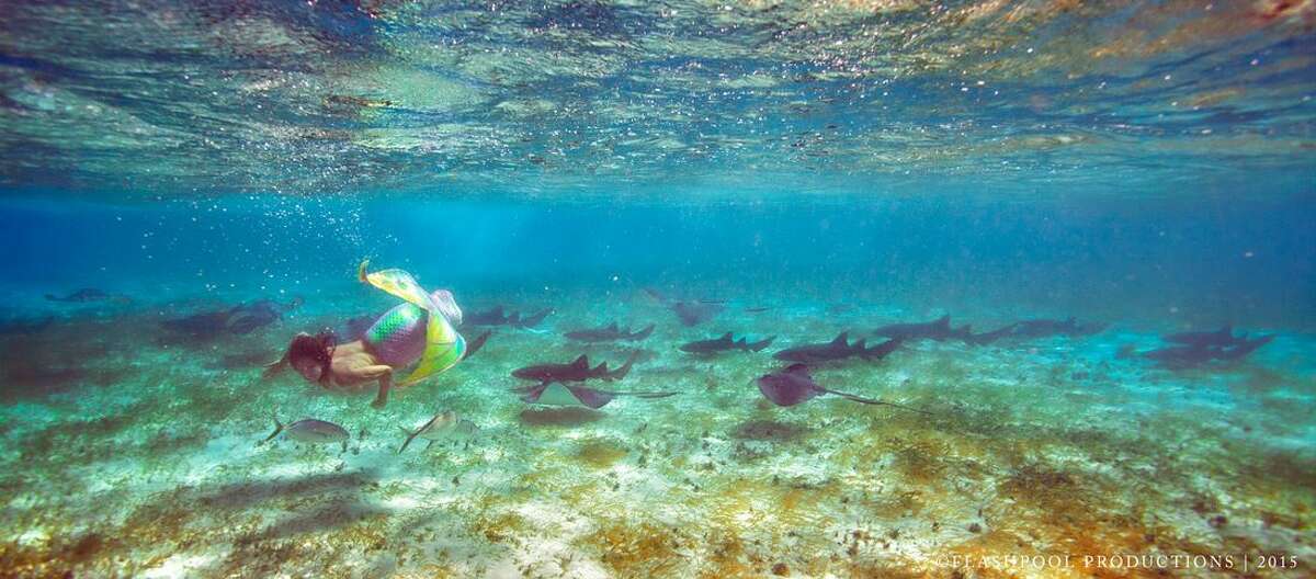 Pregnant Austin mermaid swims with sharks in the Great Barrier Reef of ...