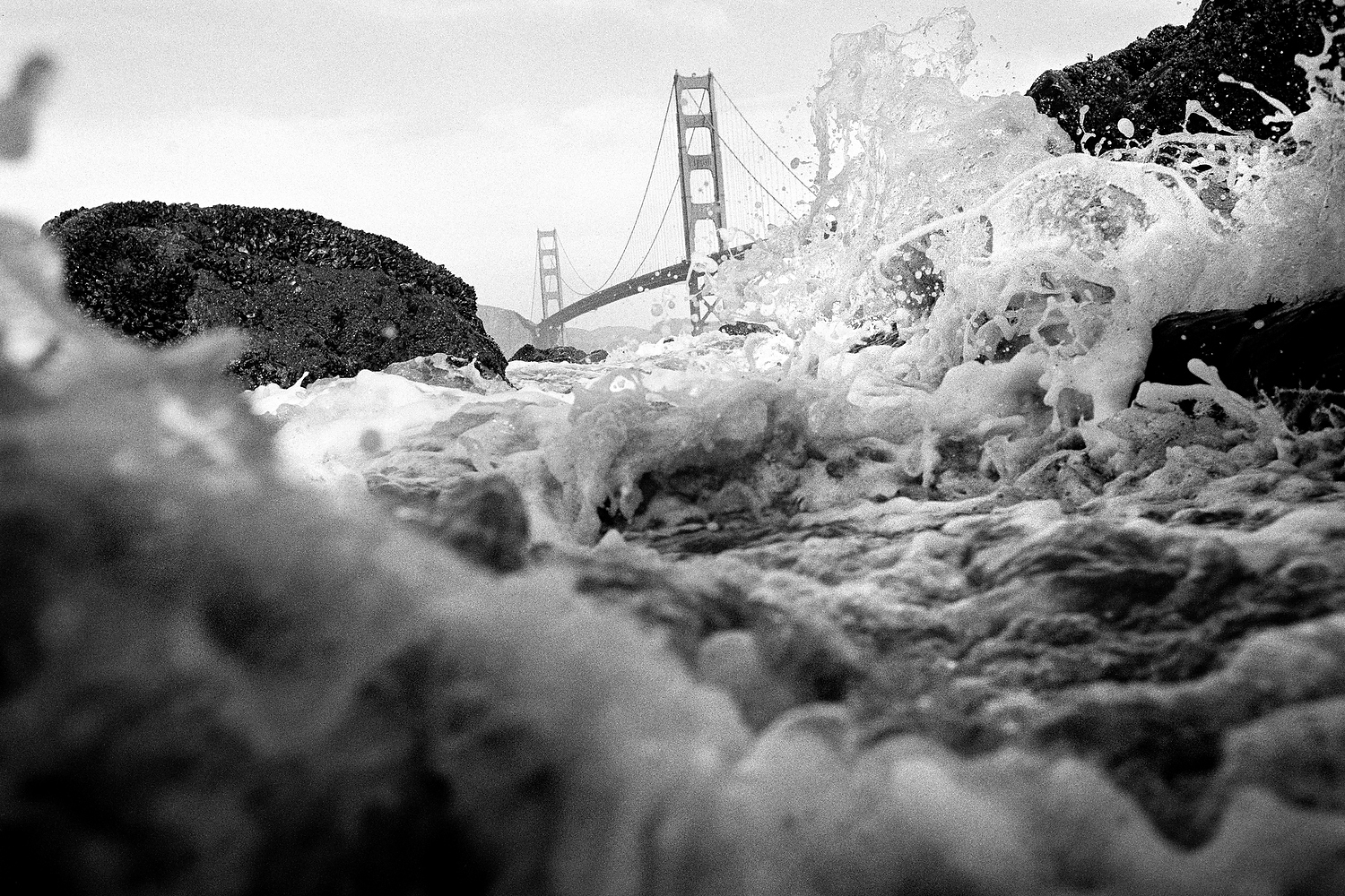 'High Water Line' provides a unique perspective on San Francisco