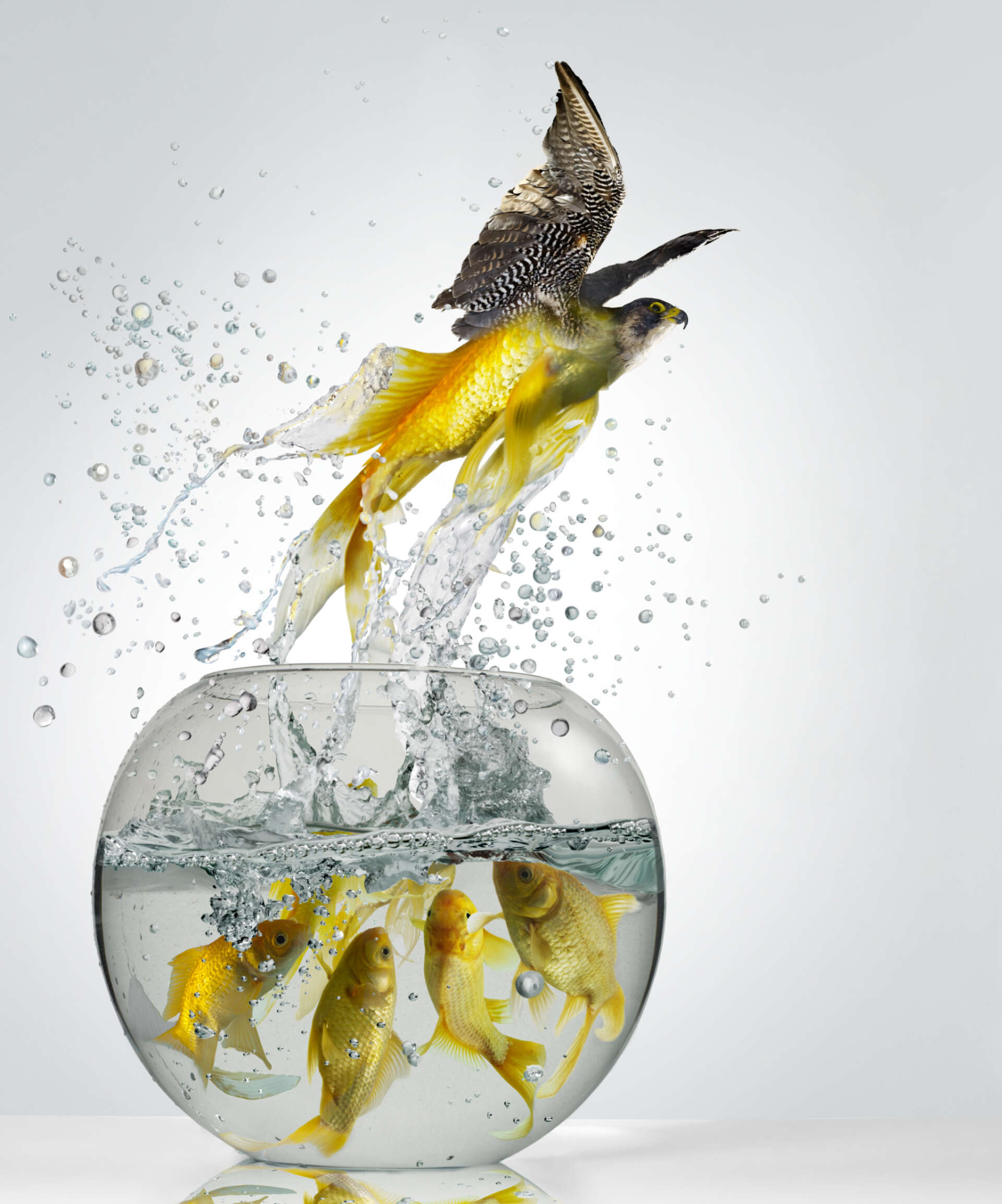 20 safe social experiments you should try before you die