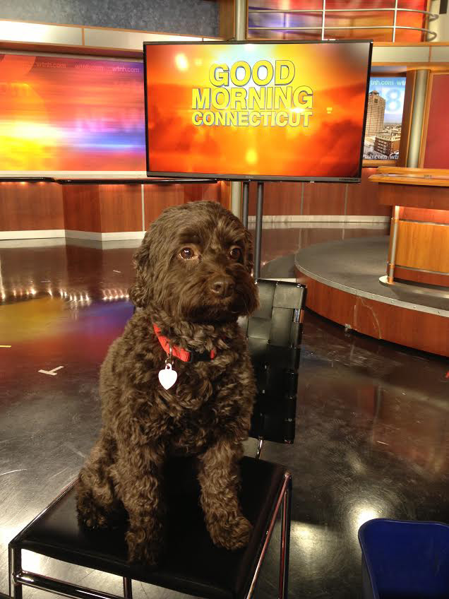 Nell & Ali: co-anchors of a special sort