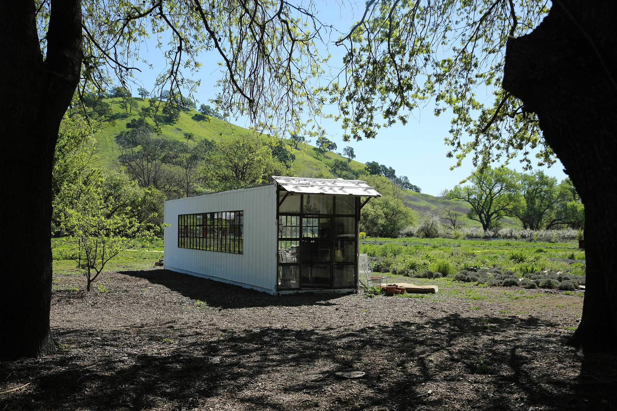 Shipping container now aesthetic sanctuary