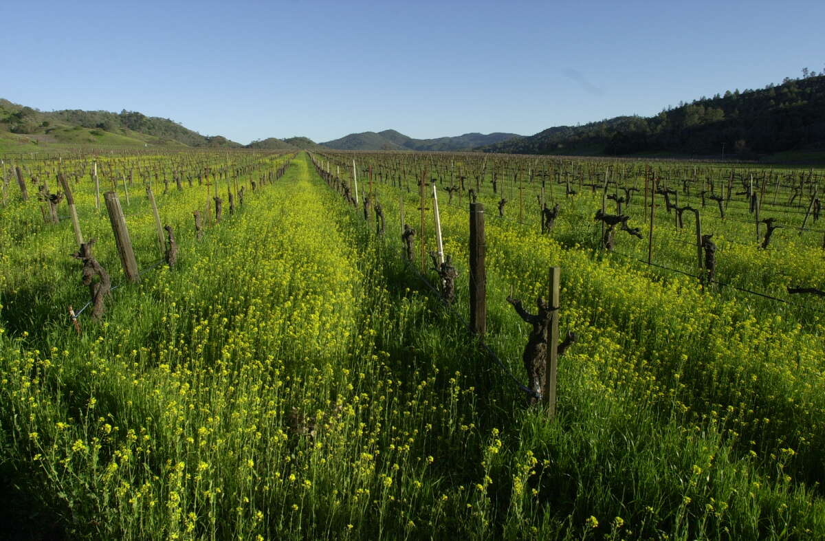 California wineries where you can stay overnight