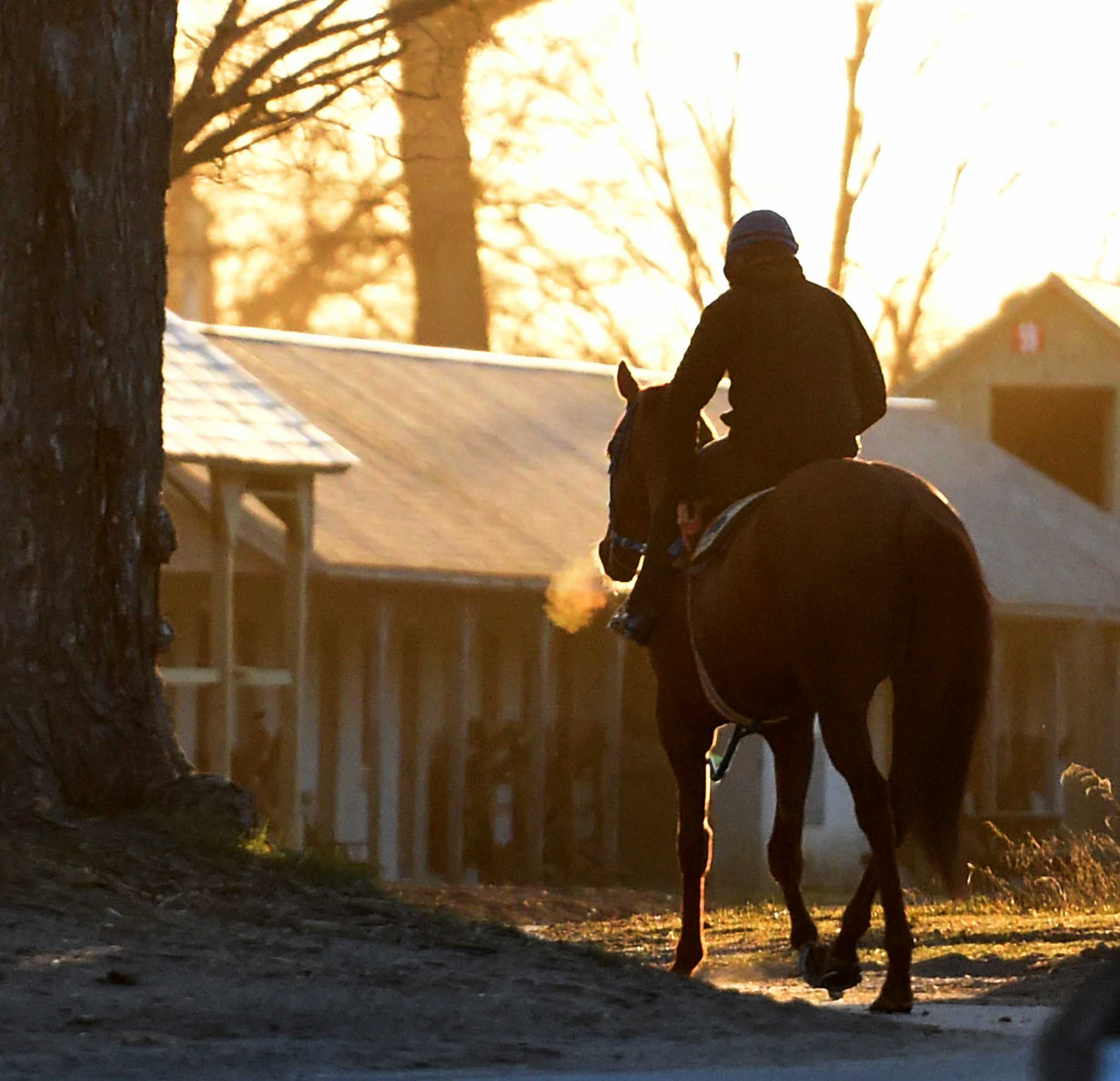 The Oklahoma Training Track opens up for horses, horsemen