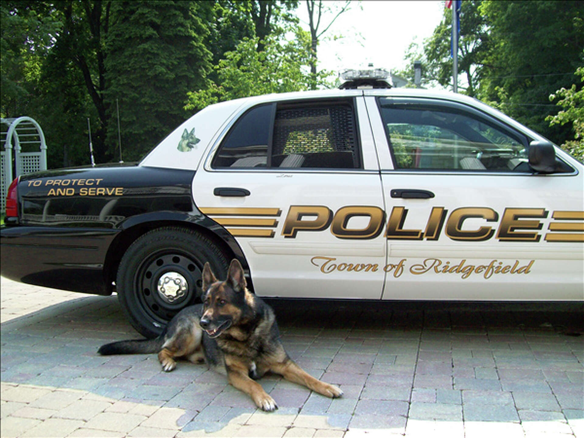 K-9 Officer Zeus honored with last ride through Ridgefield