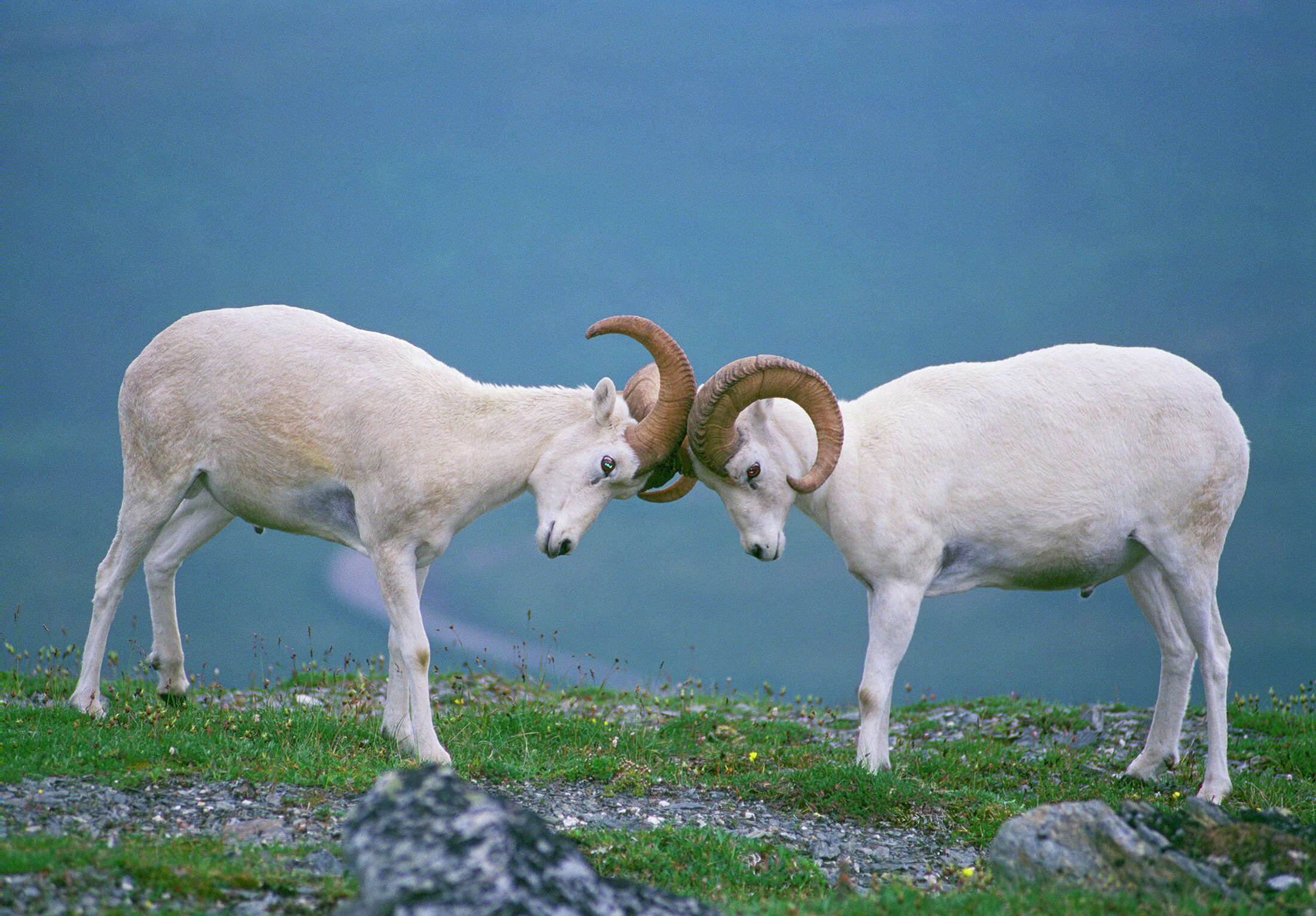 22 cool facts about Shiner every Texan should know