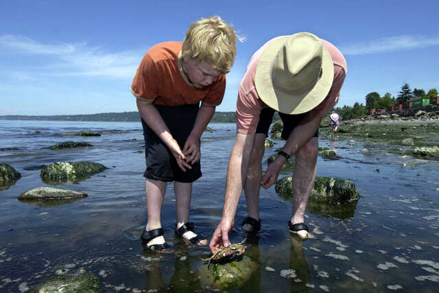 Seattle's 10 best beaches for exploring tide pools this summer
