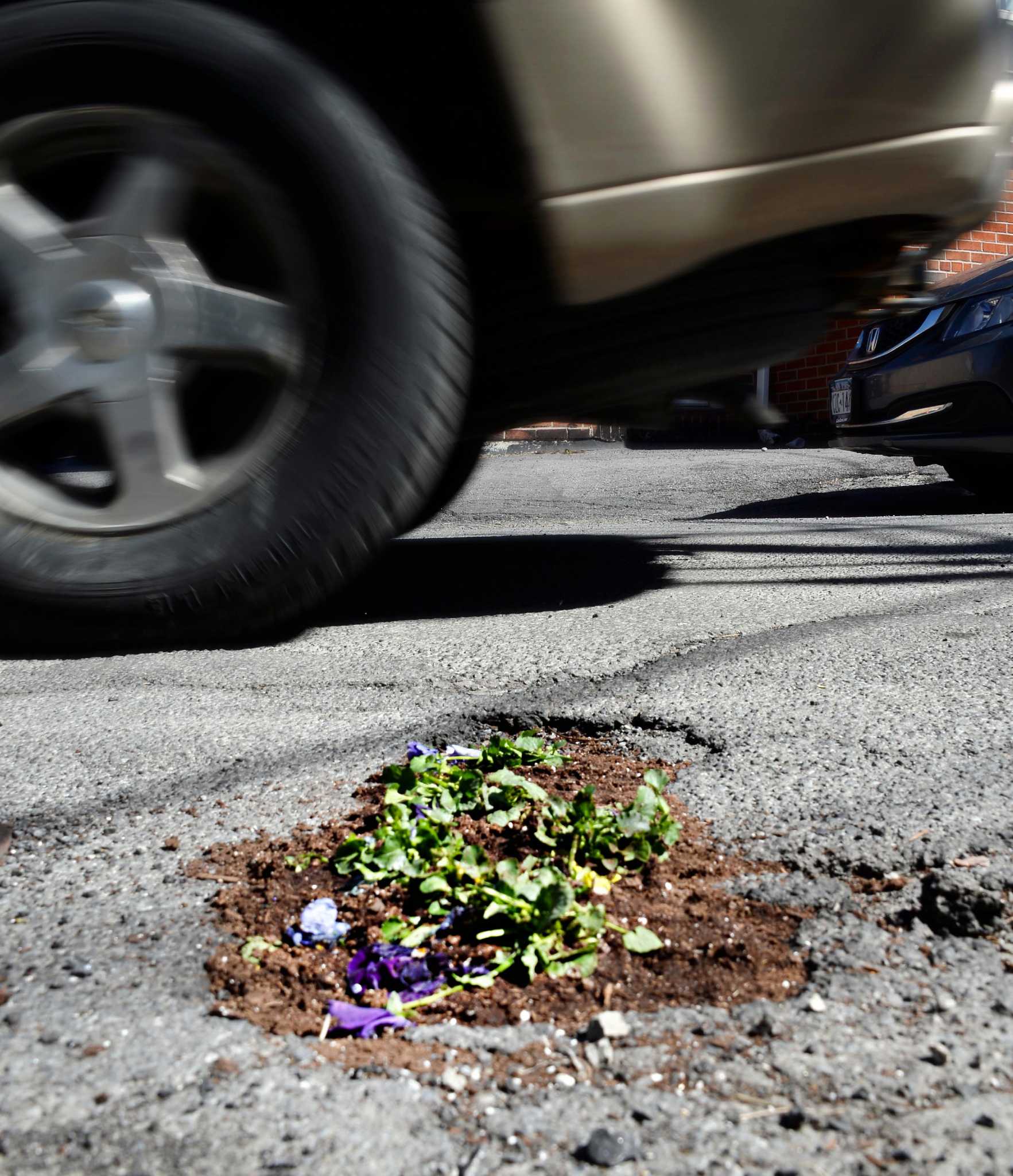 Pothole protest uses flower power