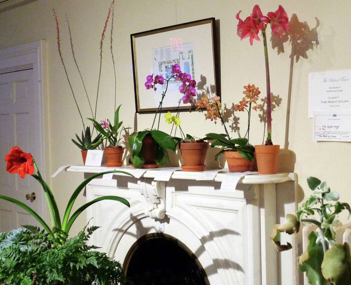 In full flower: Fairfield Garden Club's centennial show