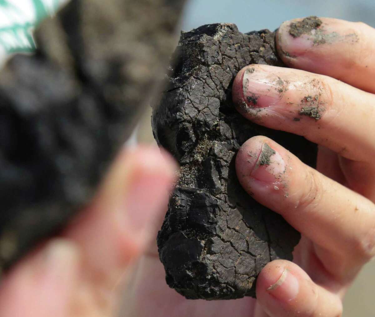 5 years after spill, effects of oil on Gulf still uncertain