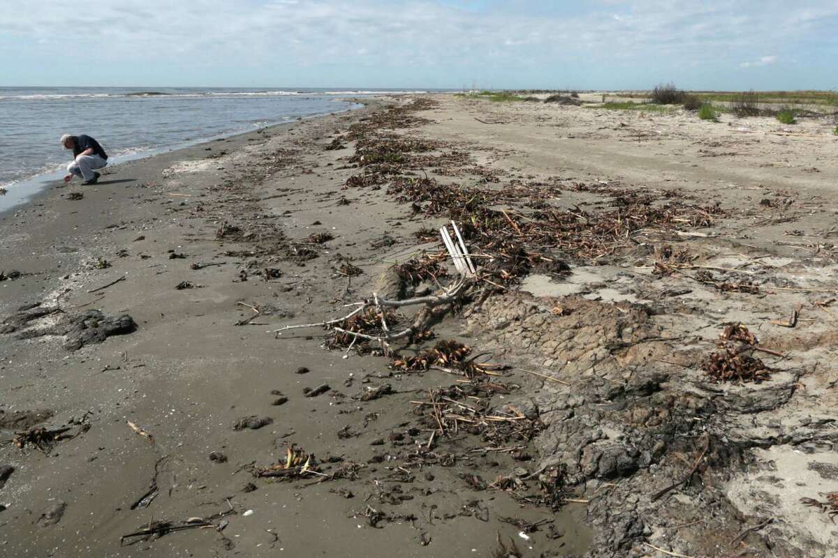 5 years after spill, effects of oil on Gulf still uncertain ...
