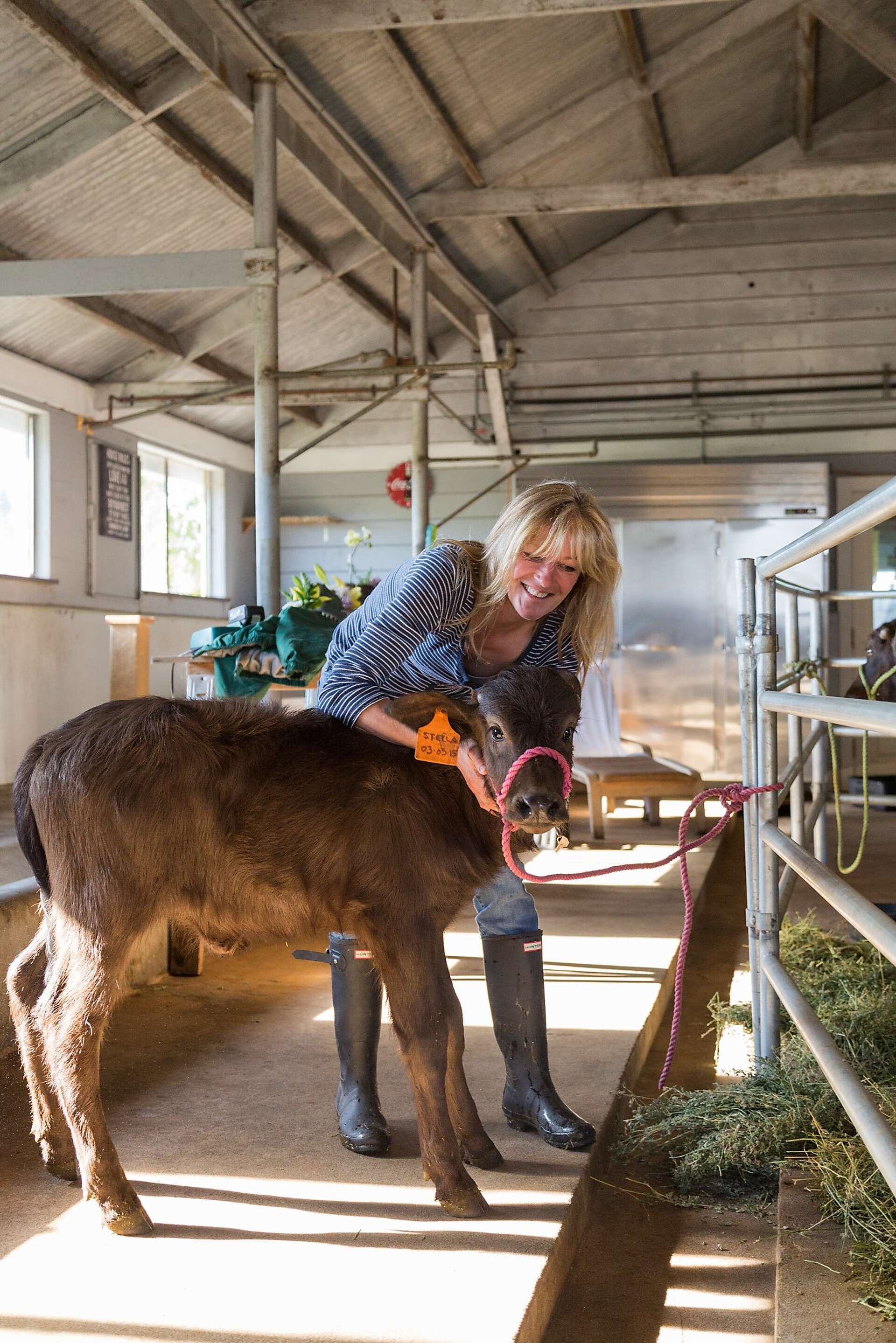 Ramini Mozzarella uses gentle methods to care for buffalo