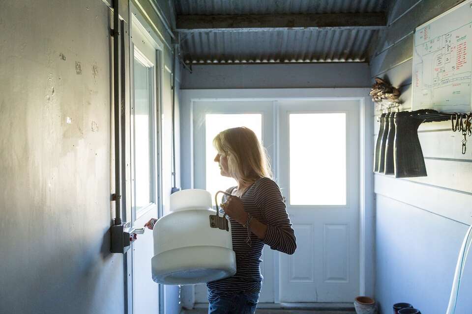 Ramini Mozzarella uses gentle methods to care for buffalo