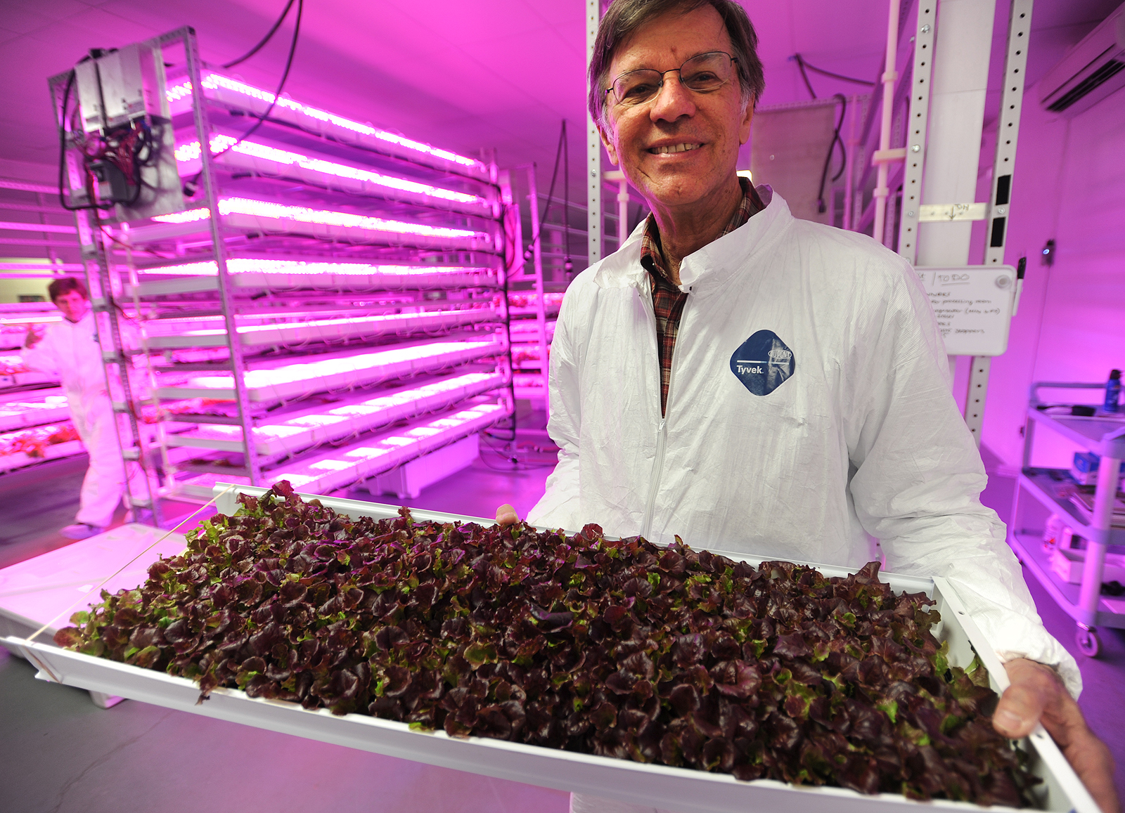 From empty building to indoor farm