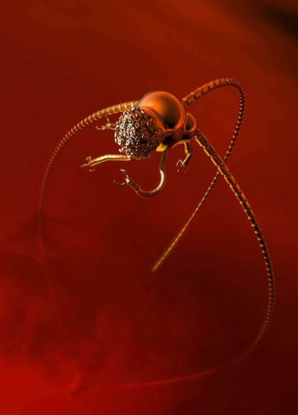 SETI Institute report: No radio signals coming from theorized 'alien ...