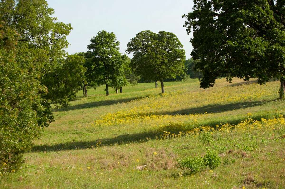 Century old family farms and ranches still ticking around Houston