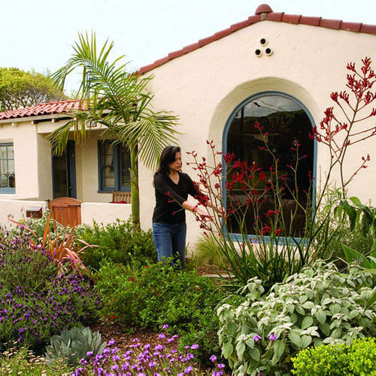 24 great ideas for lawn-free yards