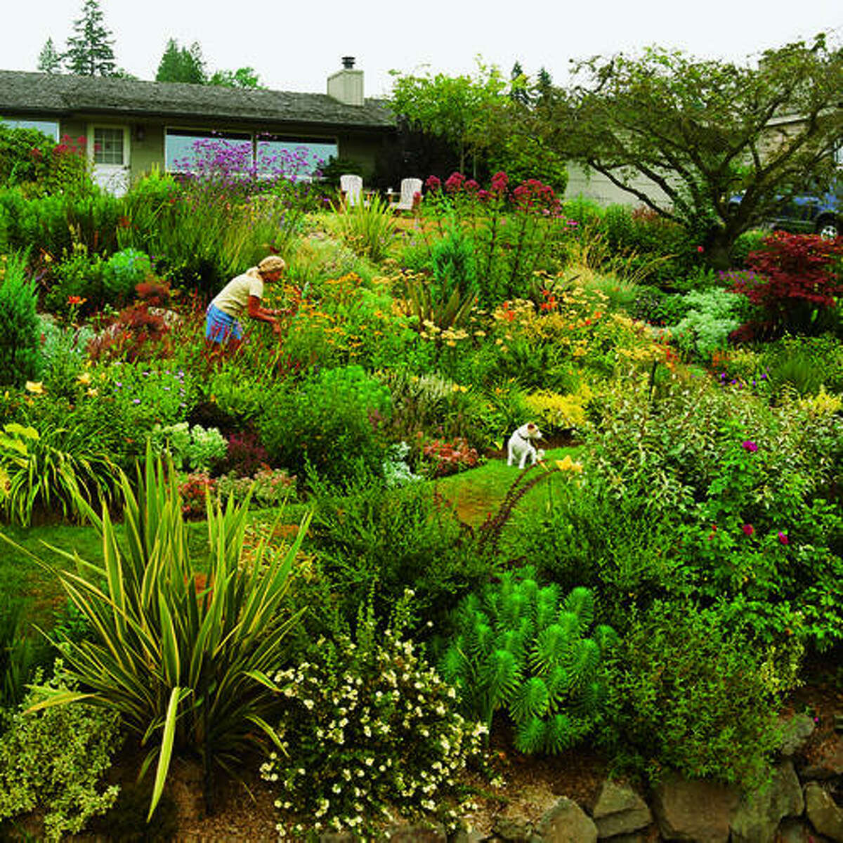 24 great ideas for lawn-free yards