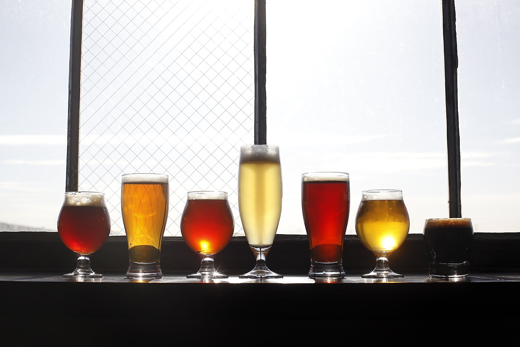 Faction Brewing to host Brewbies charity beer festival this month