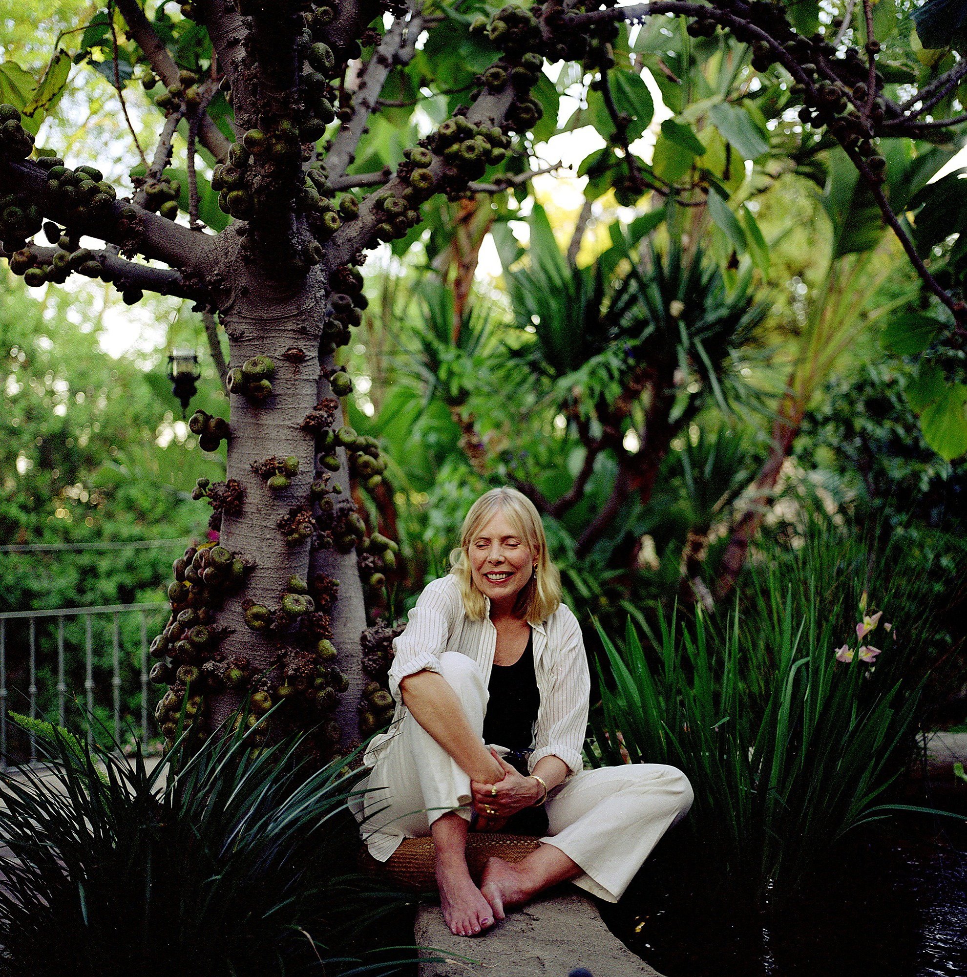 Rep denies Joni Mitchell coma report