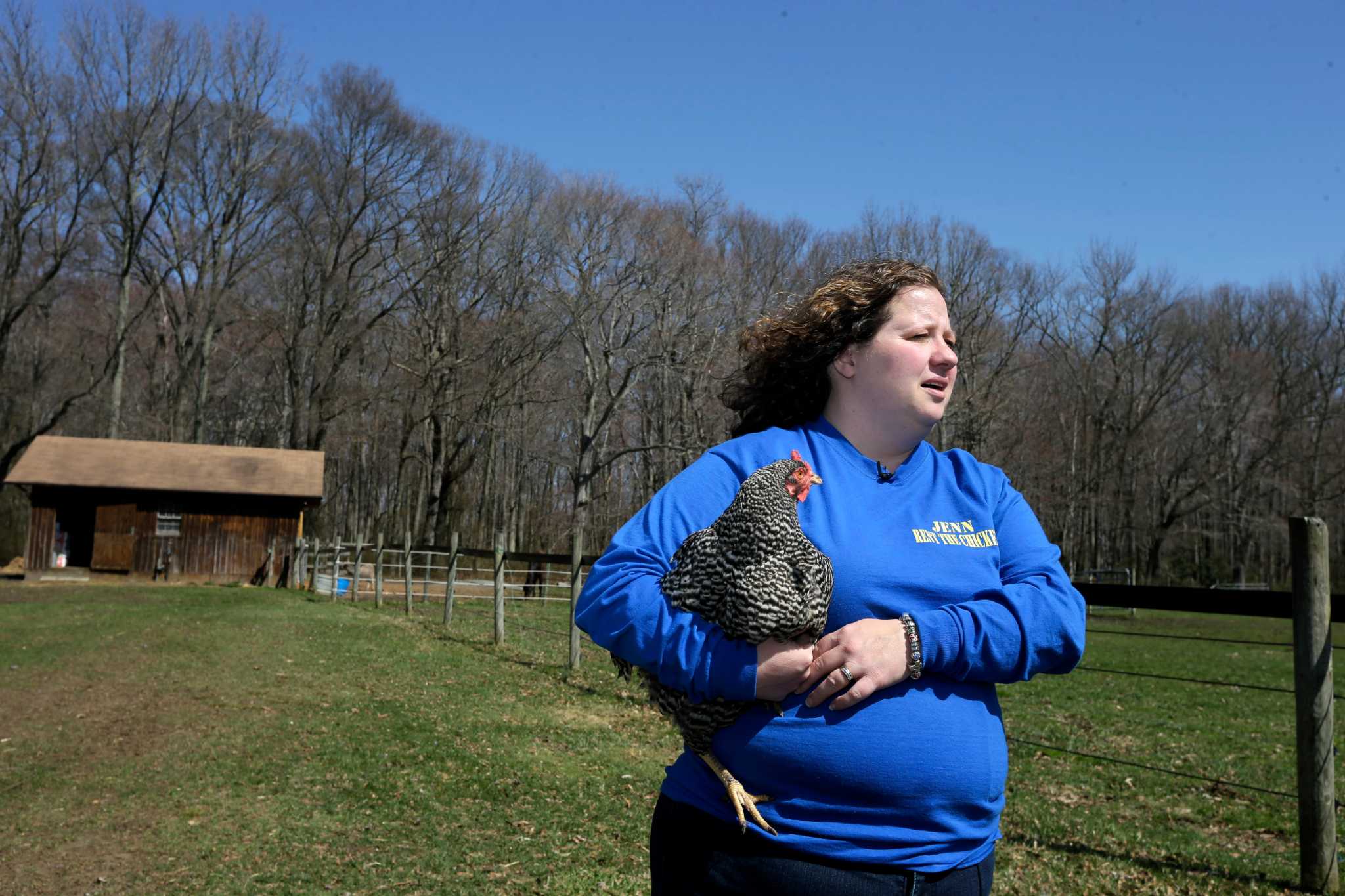 Entrepreneurs hatch hen-rental idea for fans of fresh eggs