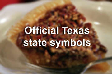 Texas State Symbols