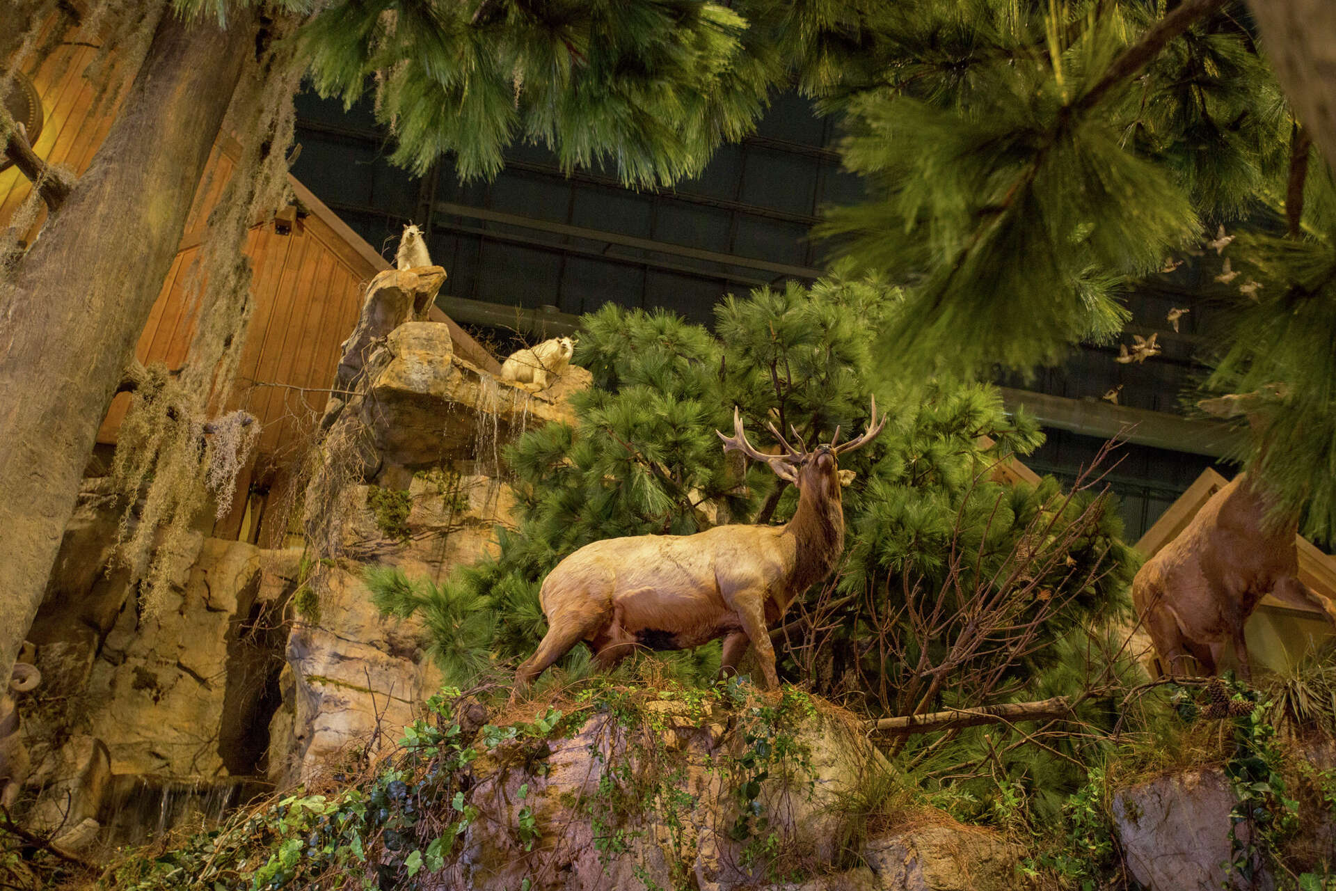 New Bass Pro Shops in Memphis includes hotel
