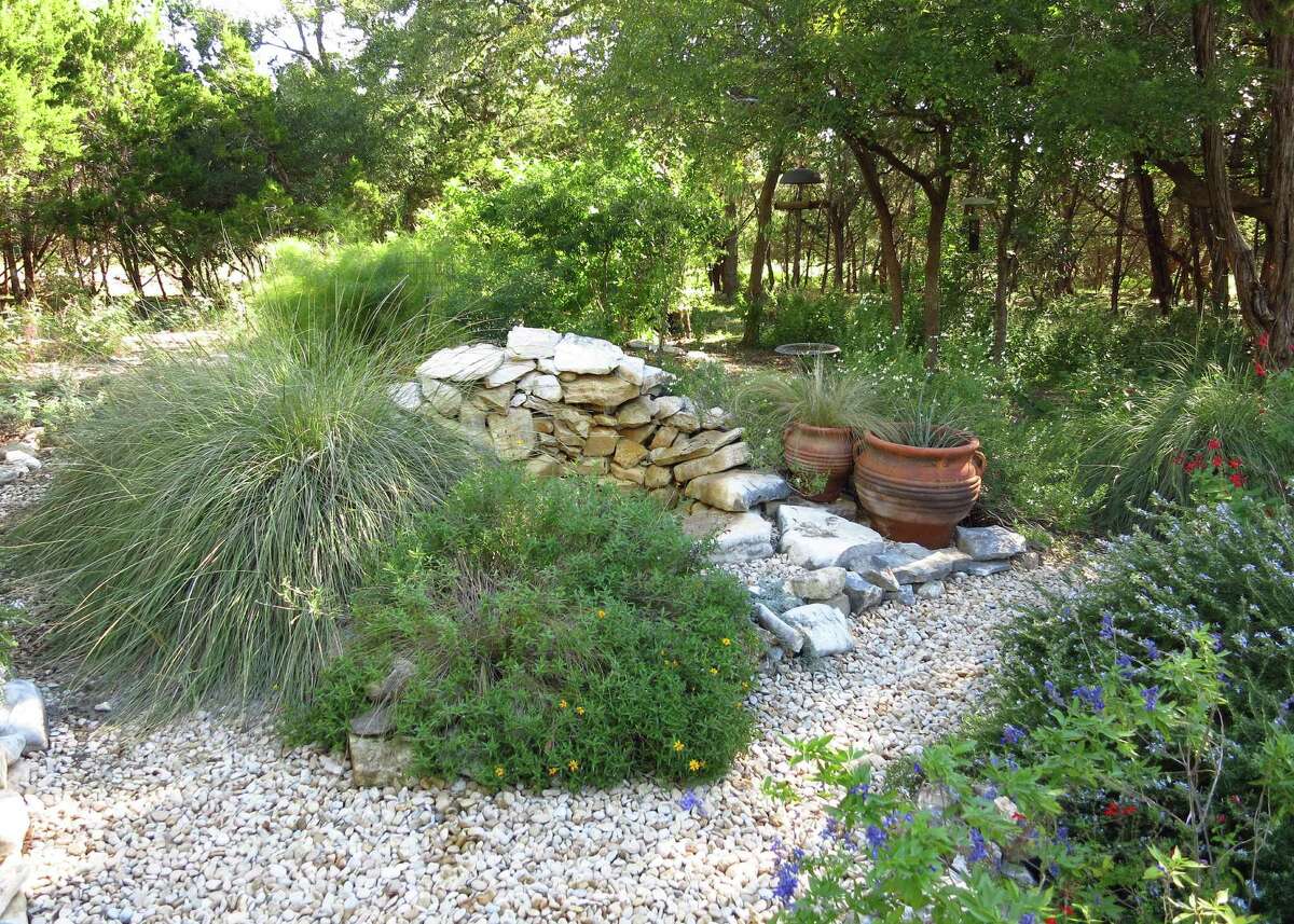 Creating a year-round bird haven in the garden