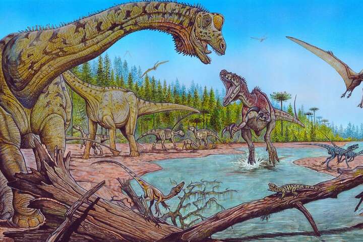 Dinosaur Discoveries