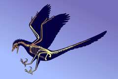 Dinosaur Discoveries