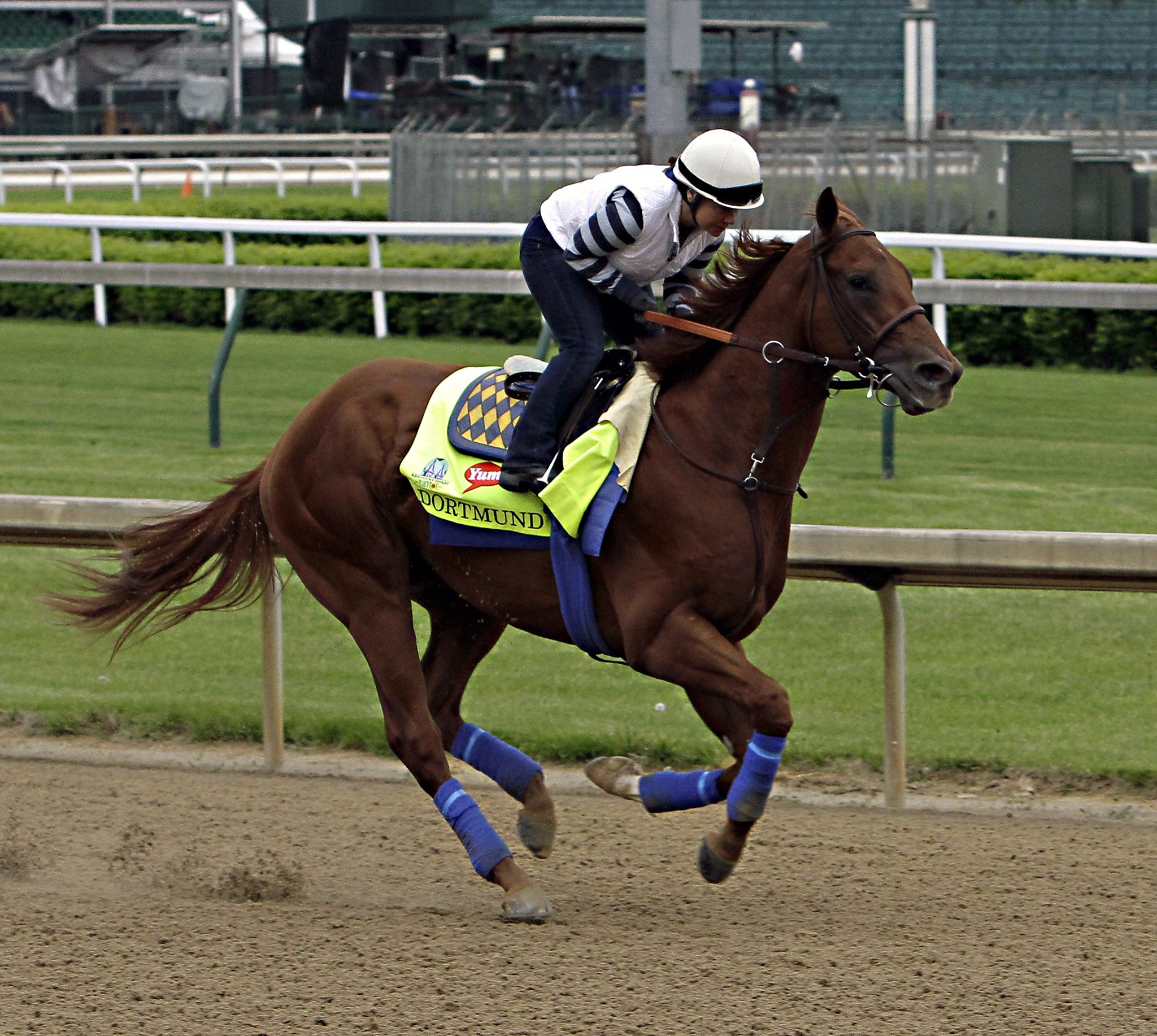 Big Kentucky Derby field makes it harder on favorites