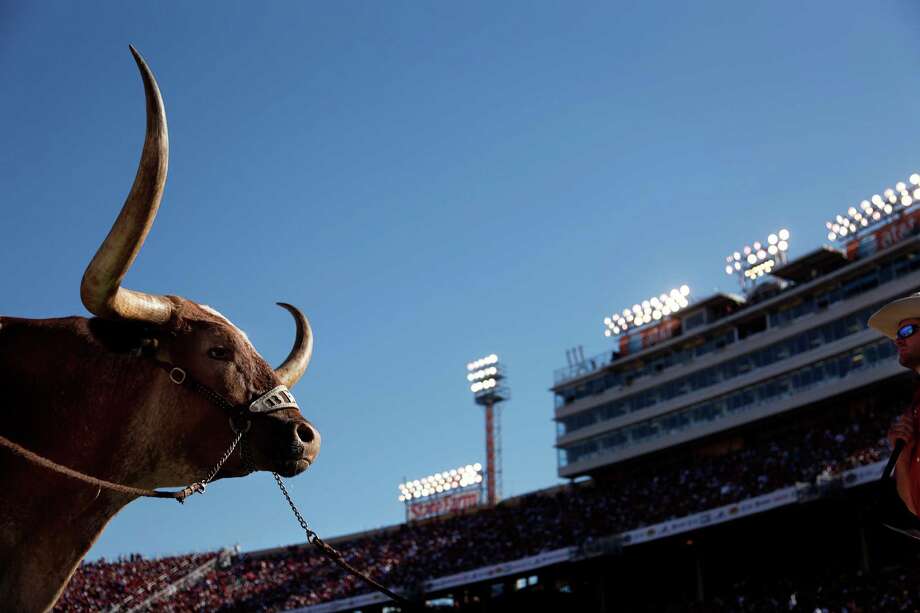Bevo XV makes his debut 100 years after the first Bevo went to a UT ...