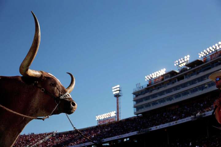 Bevo XV makes his debut 100 years after the first Bevo went to a UT ...