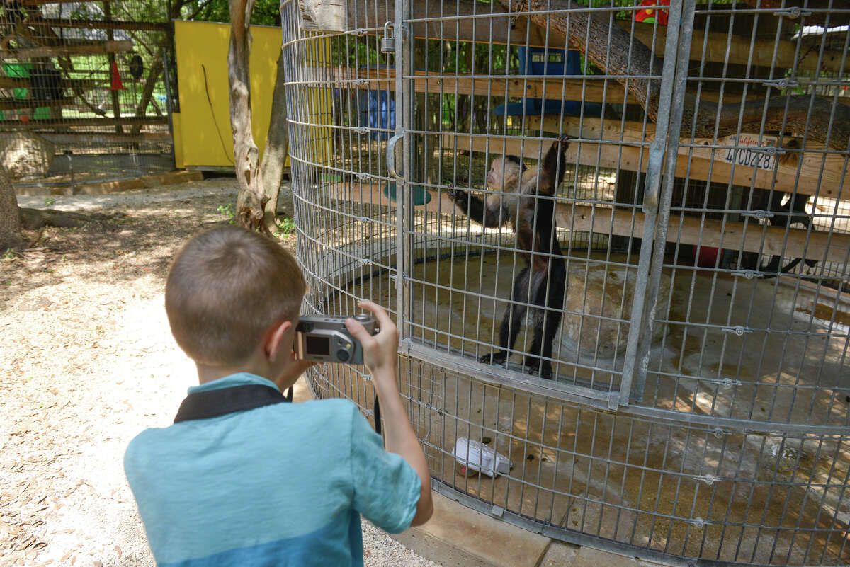 Primate sanctuary has first public tour