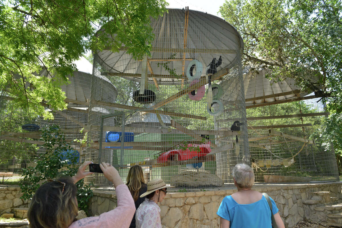 Primate sanctuary has first public tour