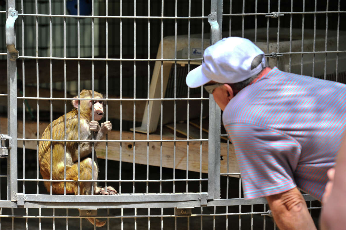Primate sanctuary has first public tour