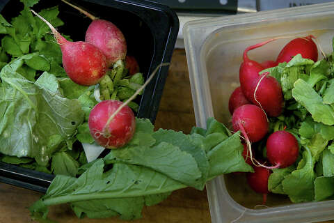 Ugly food getting some love in an effort to combat drought