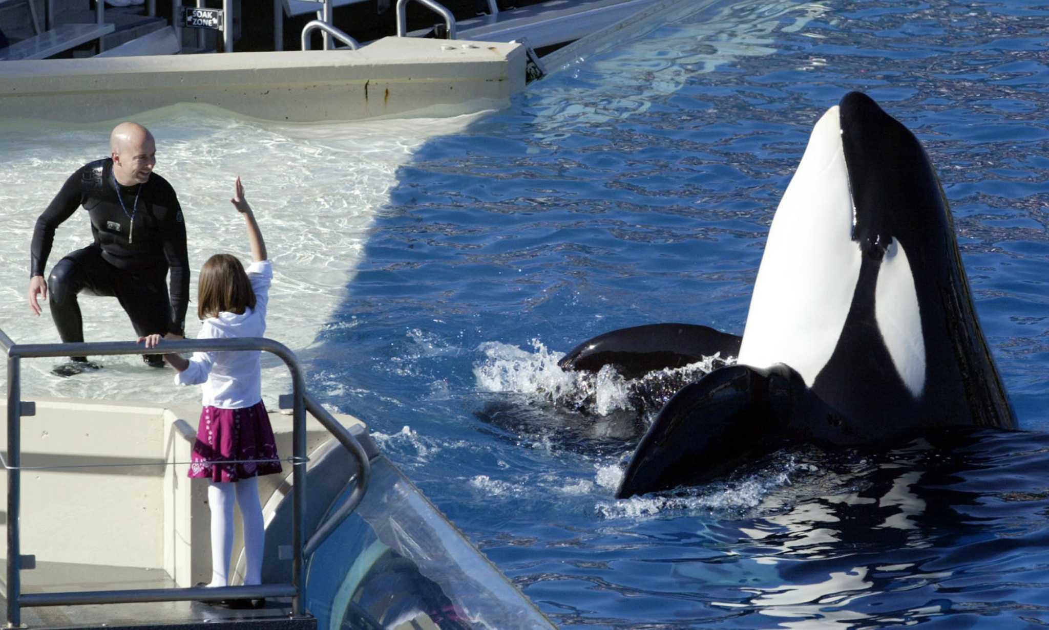 Class-action lawsuit claims SeaWorld uses deception with customers ...