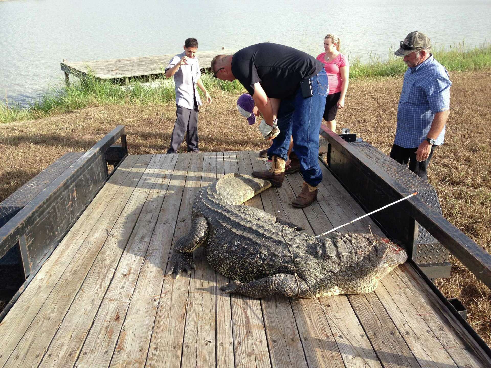 Mechanized alligator head causes concern for New Braunfels residents