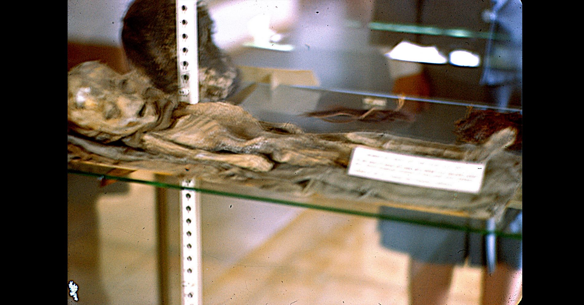 New documentary claims Texas couple could hold key to aliens visiting Earth