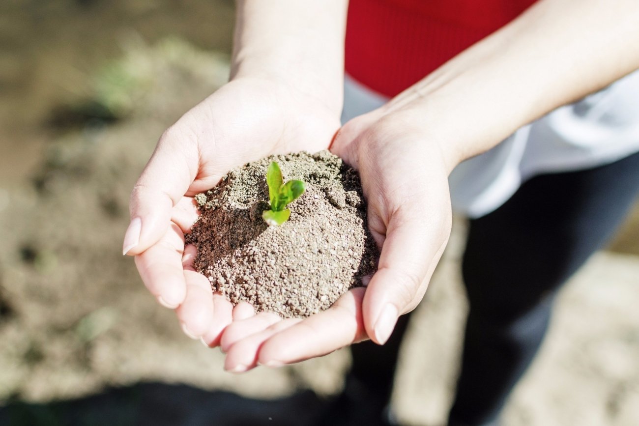 3 Ways to Make a Commitment to Sustainability Your Customers Want to See