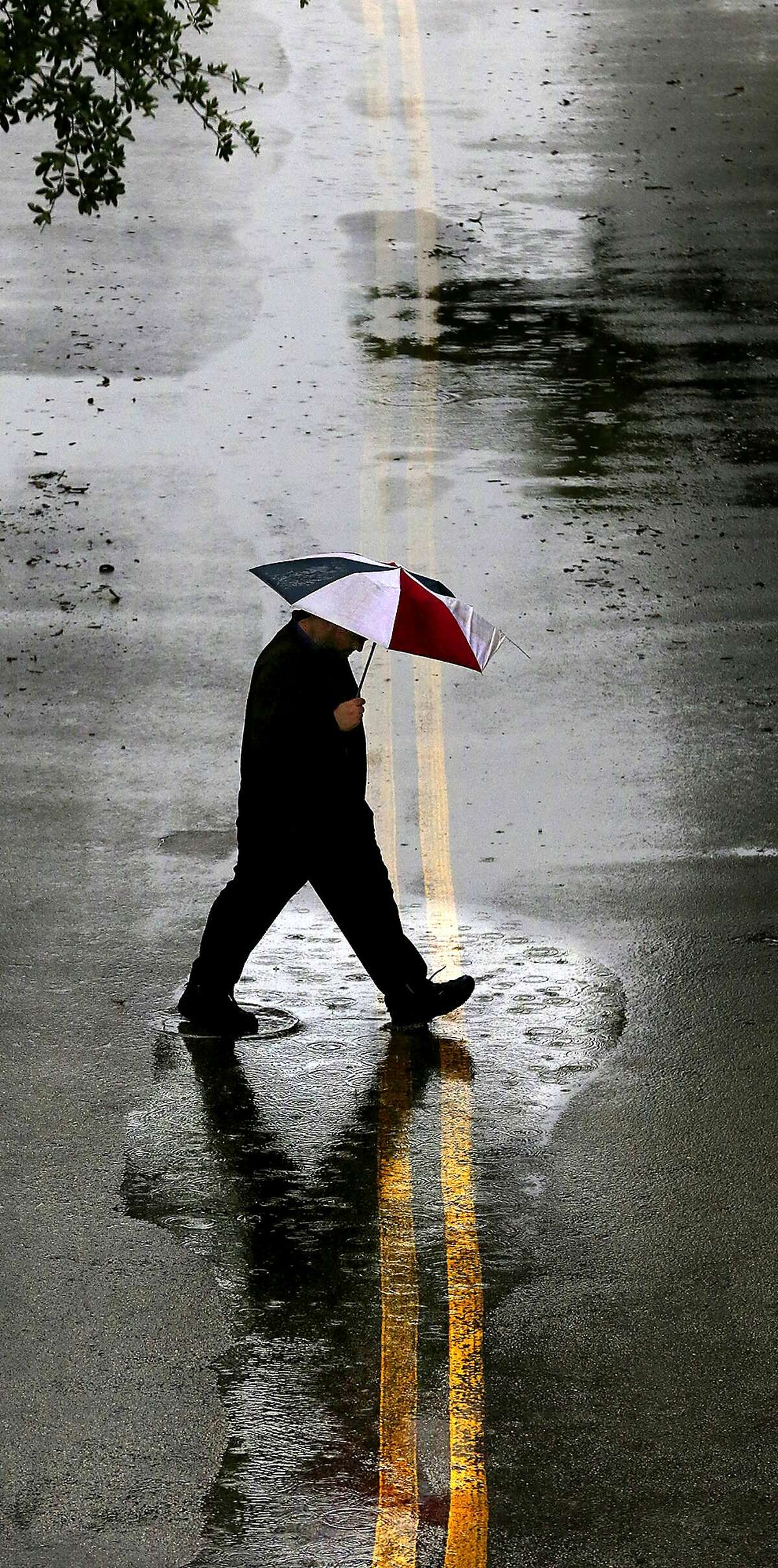 15 things Bay Area residents do every time it rains