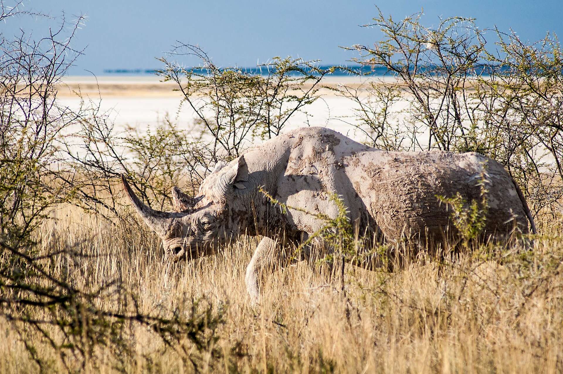 Namibia: Road trip reveals country beyond the safari