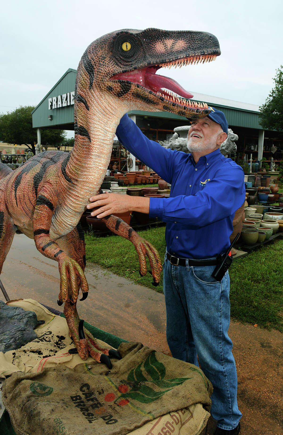 Largest-ever 'sea dragon' fossil sat undiscovered in museum for 20 years