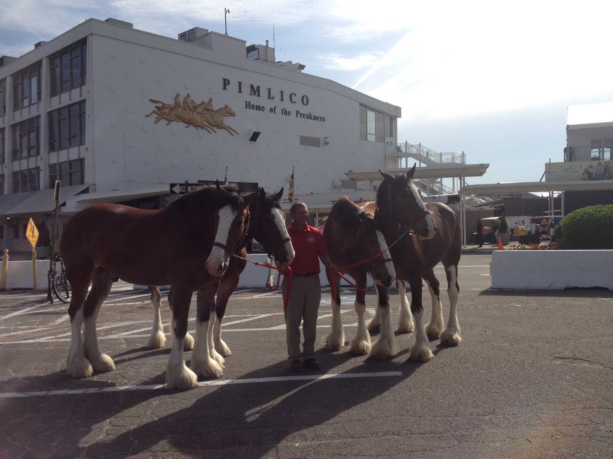 Postcard from Pimlico Race Course