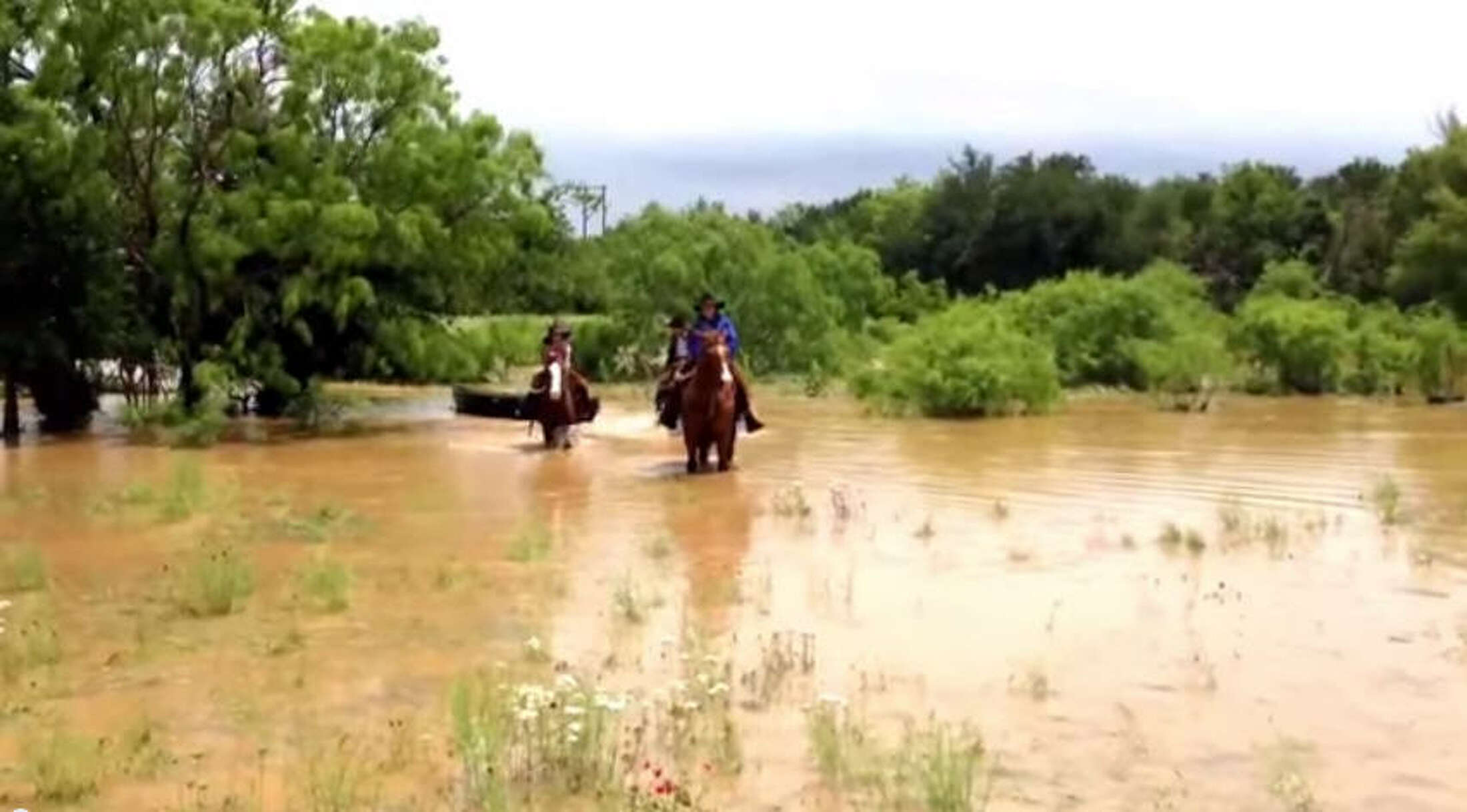 Modern cowboys lasso horses from raging flood waters