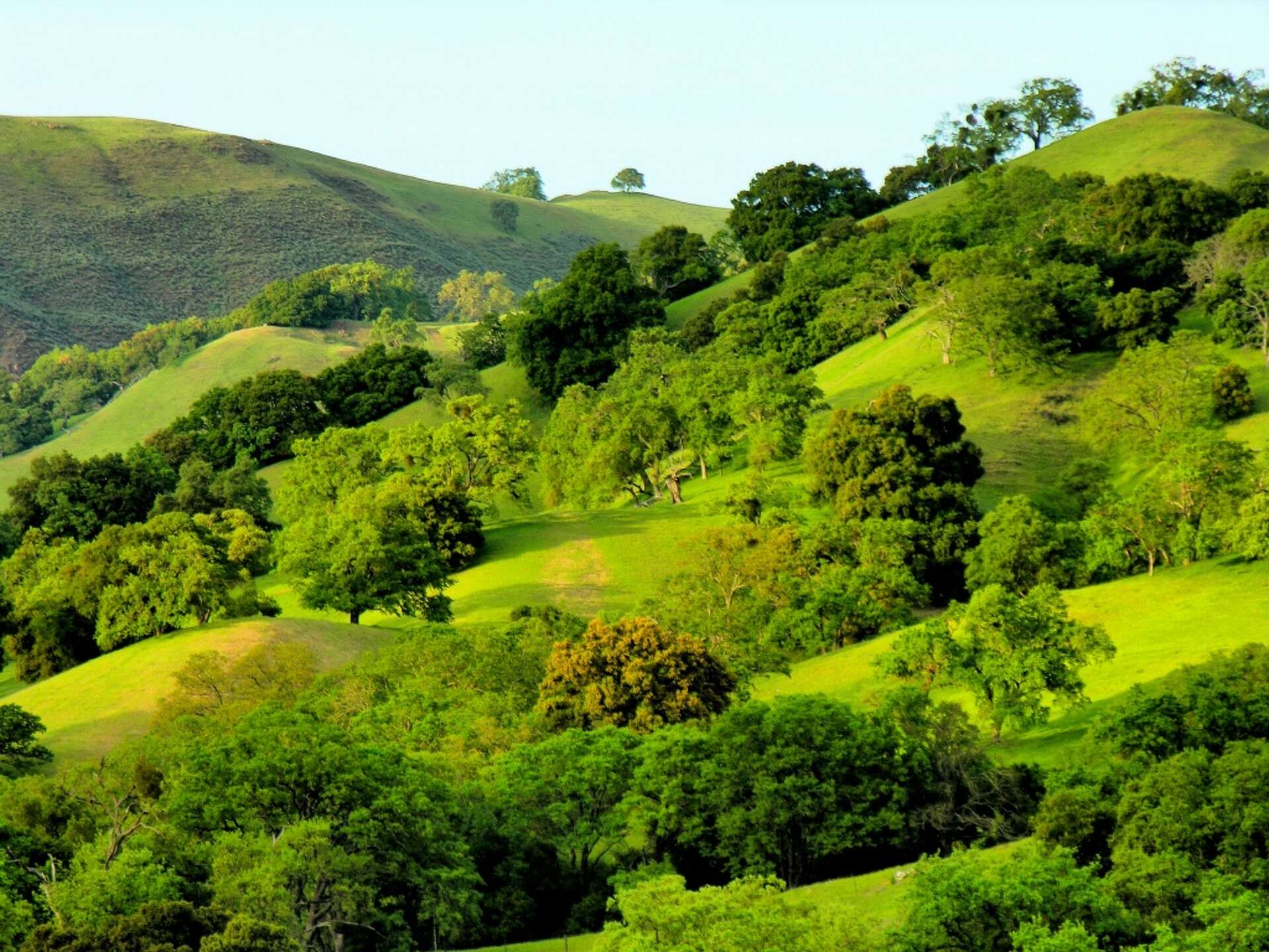 The best spring hikes in the Bay Area