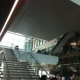 Genentech unveils eco-friendly office building - SFGate